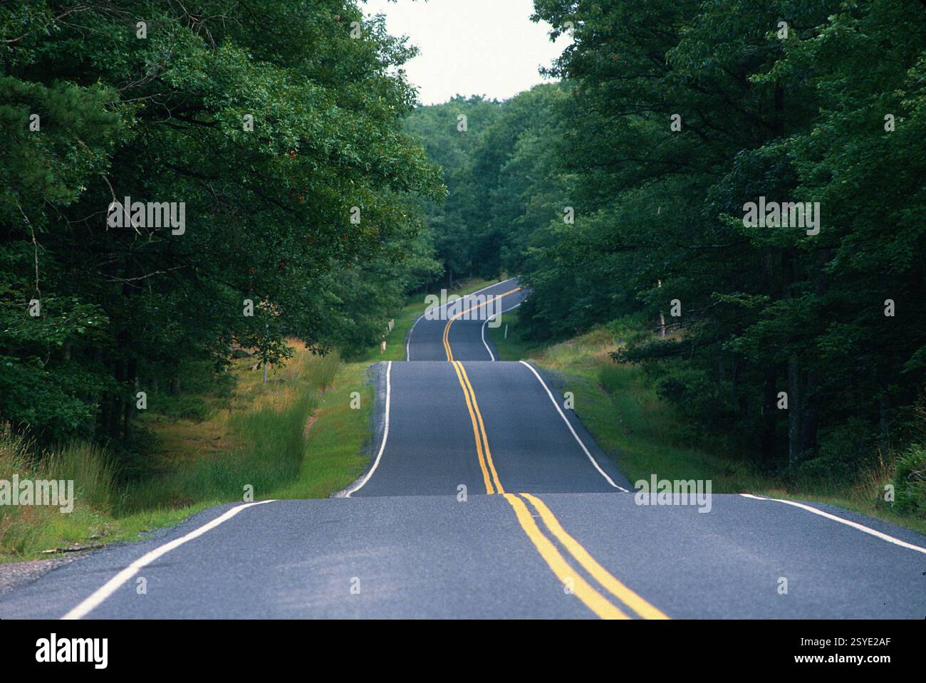 Rolling country road in upstate New York Stock Photo - Alamy