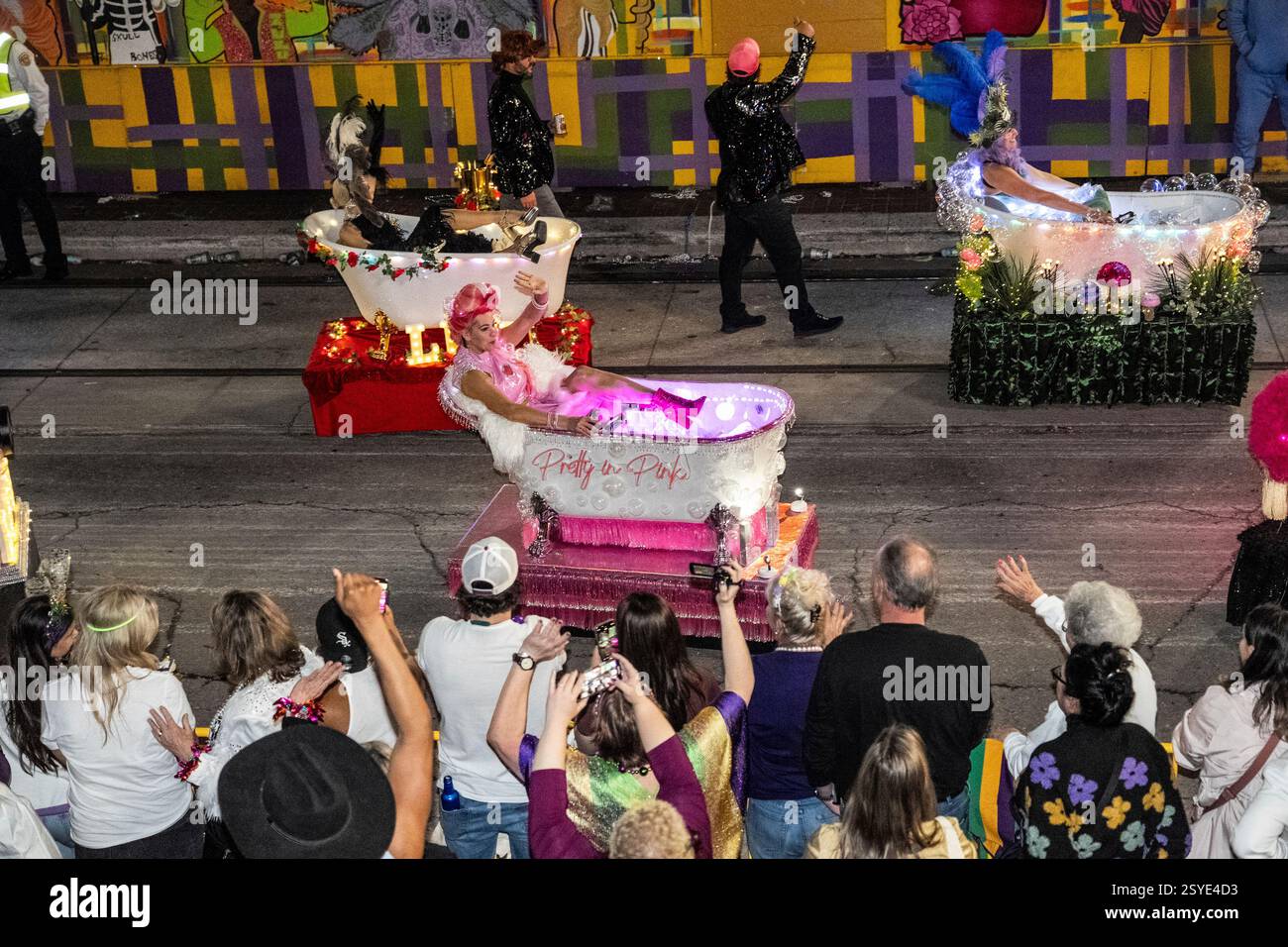 Paradegoers are seen during the Muses Mardi Gras Parade in Uptown New ...