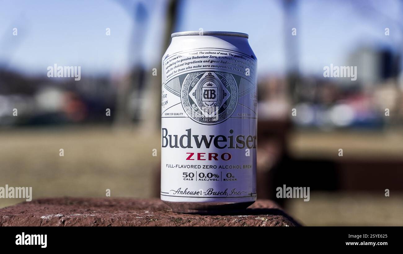 NORWALK, CT, USA - FEBRUARY 28, 2025: Budweiser Zero can resting on a ...