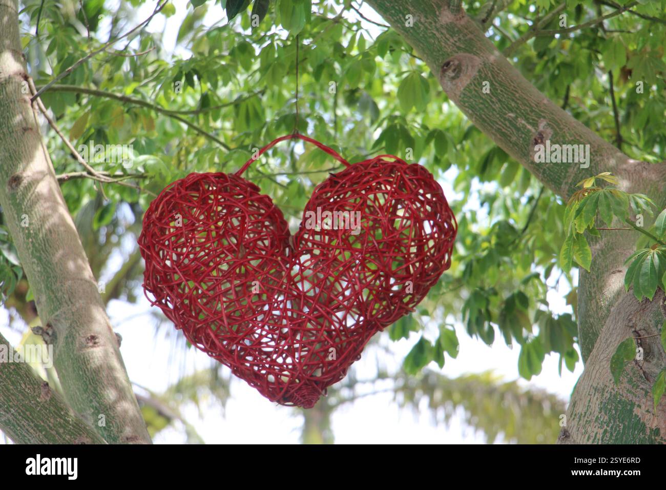 La flora y fauna hi-res stock photography and images - Alamy