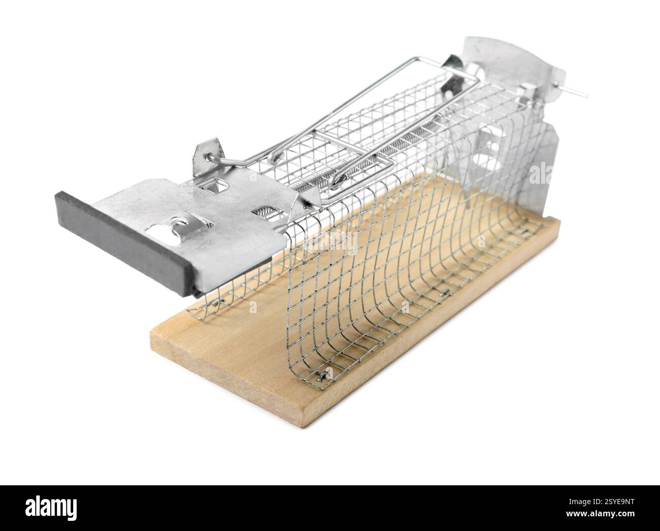 One empty mouse trap isolated on white Stock Photo - Alamy