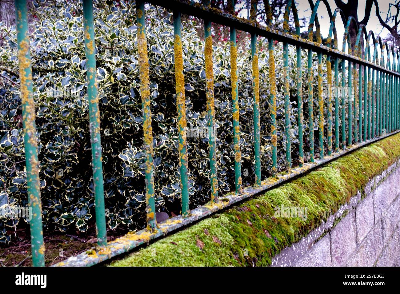 Railings Montrose Angus Scotland Stock Photo - Alamy