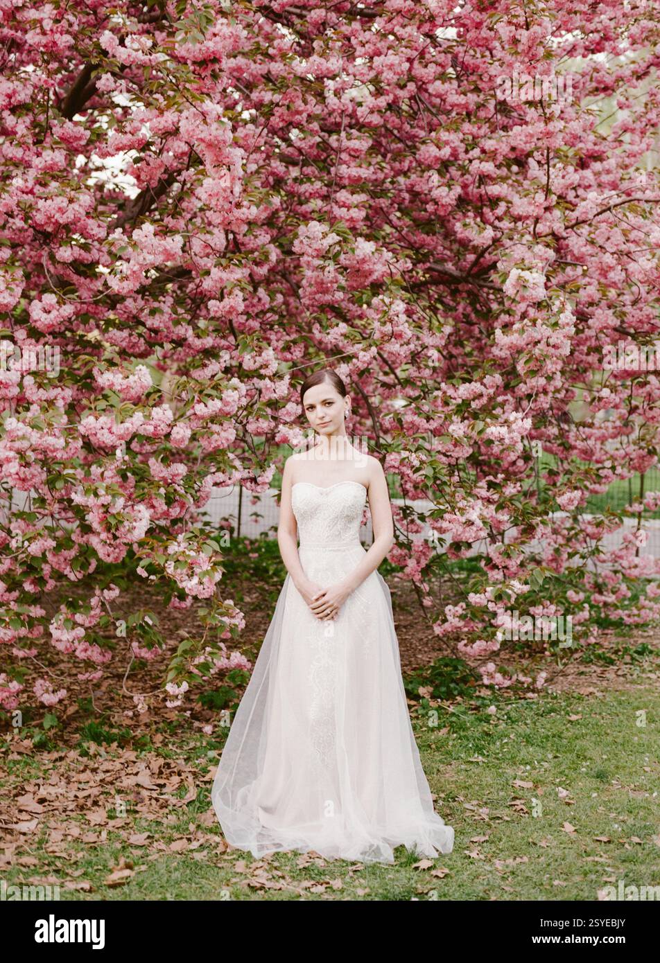 A bride stands gracefully in a stunning wedding gown, surrounded by ...