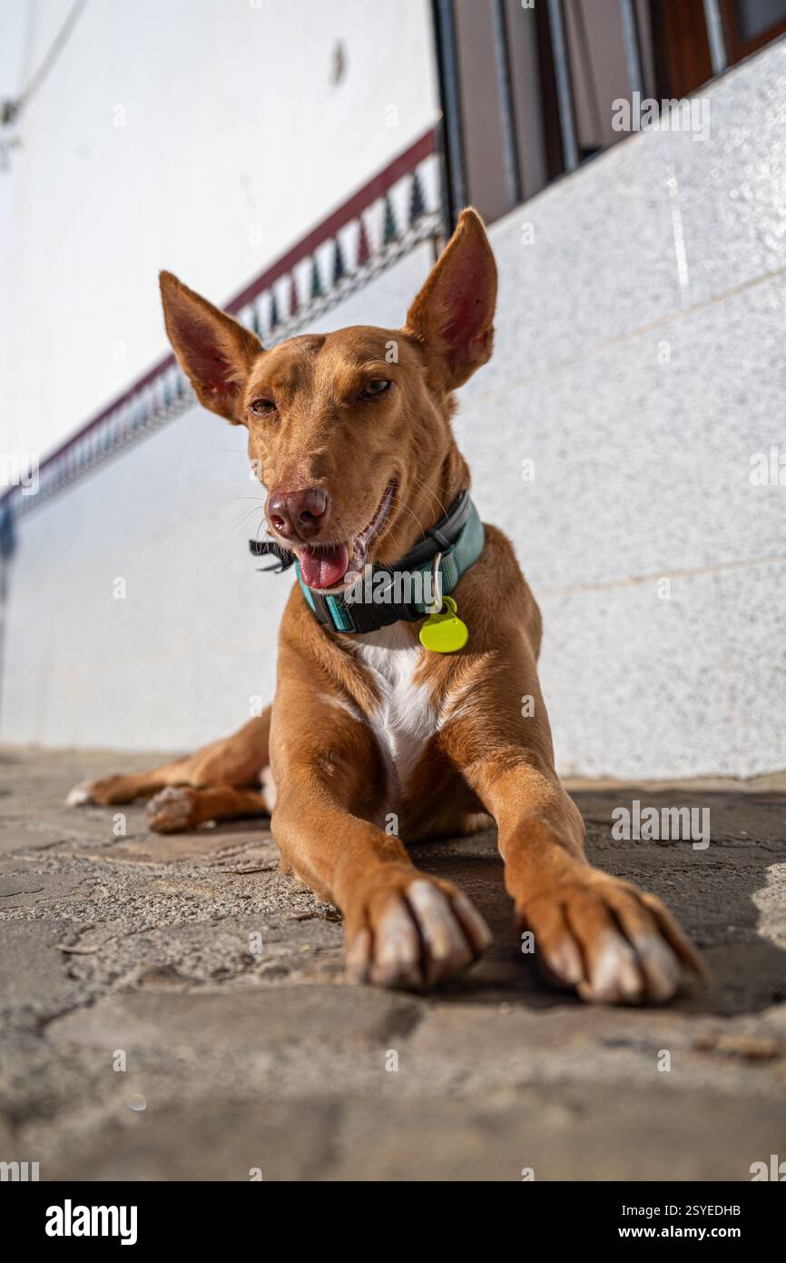 Charming urban backdrop hi-res stock photography and images - Alamy