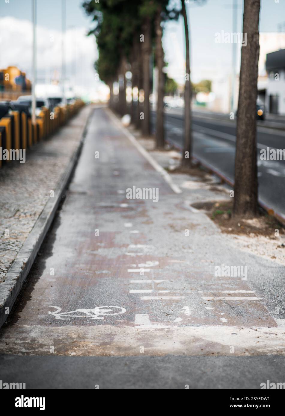 Weathered urban bike lane with faded white bicycle markings, cracked ...