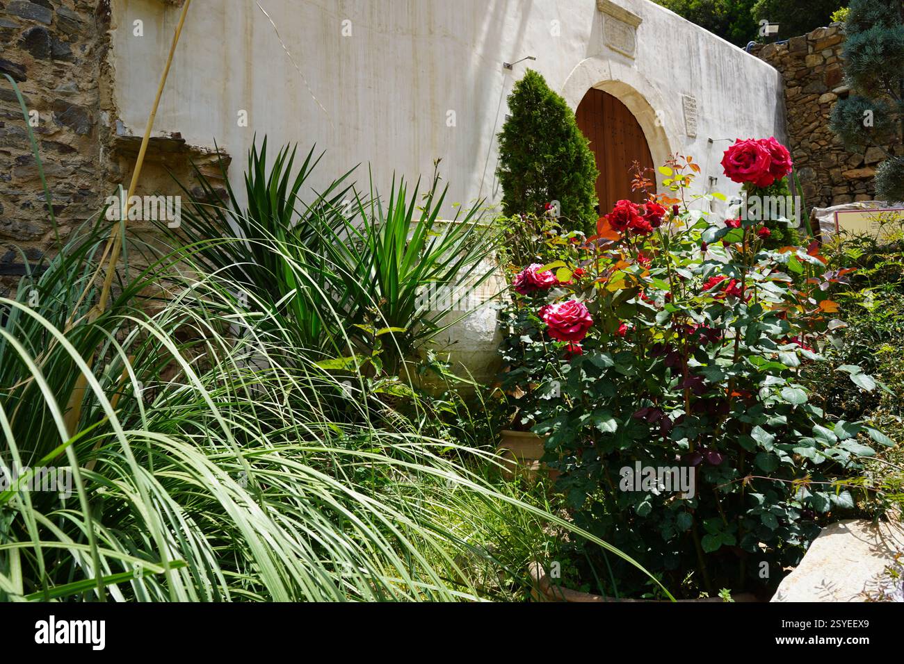 Images of the beautiful garden of the Monastery of Saint Panteleimon ...