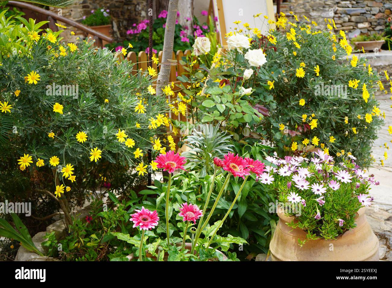 Images of the beautiful garden of the Monastery of Saint Panteleimon ...
