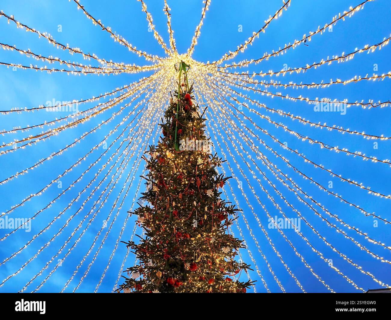 Natures christmas ornaments hi-res stock photography and images - Alamy
