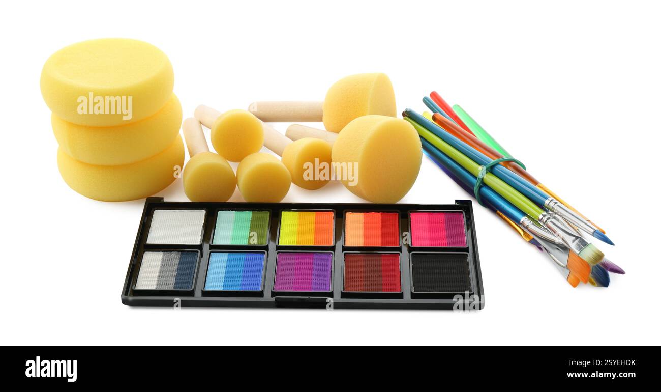 Bright face paint palette, brushes and sponges isolated on white Stock ...