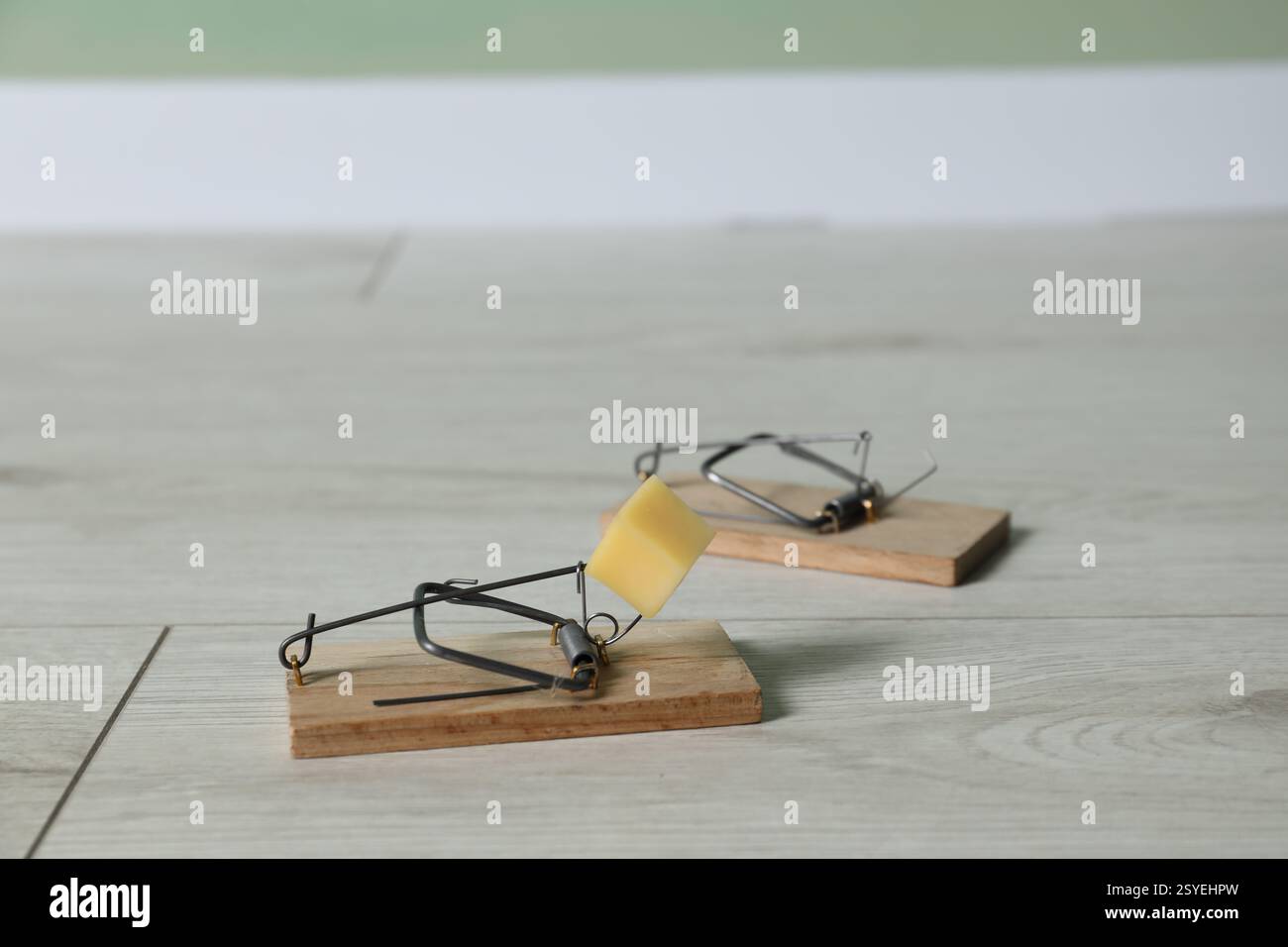 Spring-loaded bar mousetraps with piece of cheese indoors, selective ...
