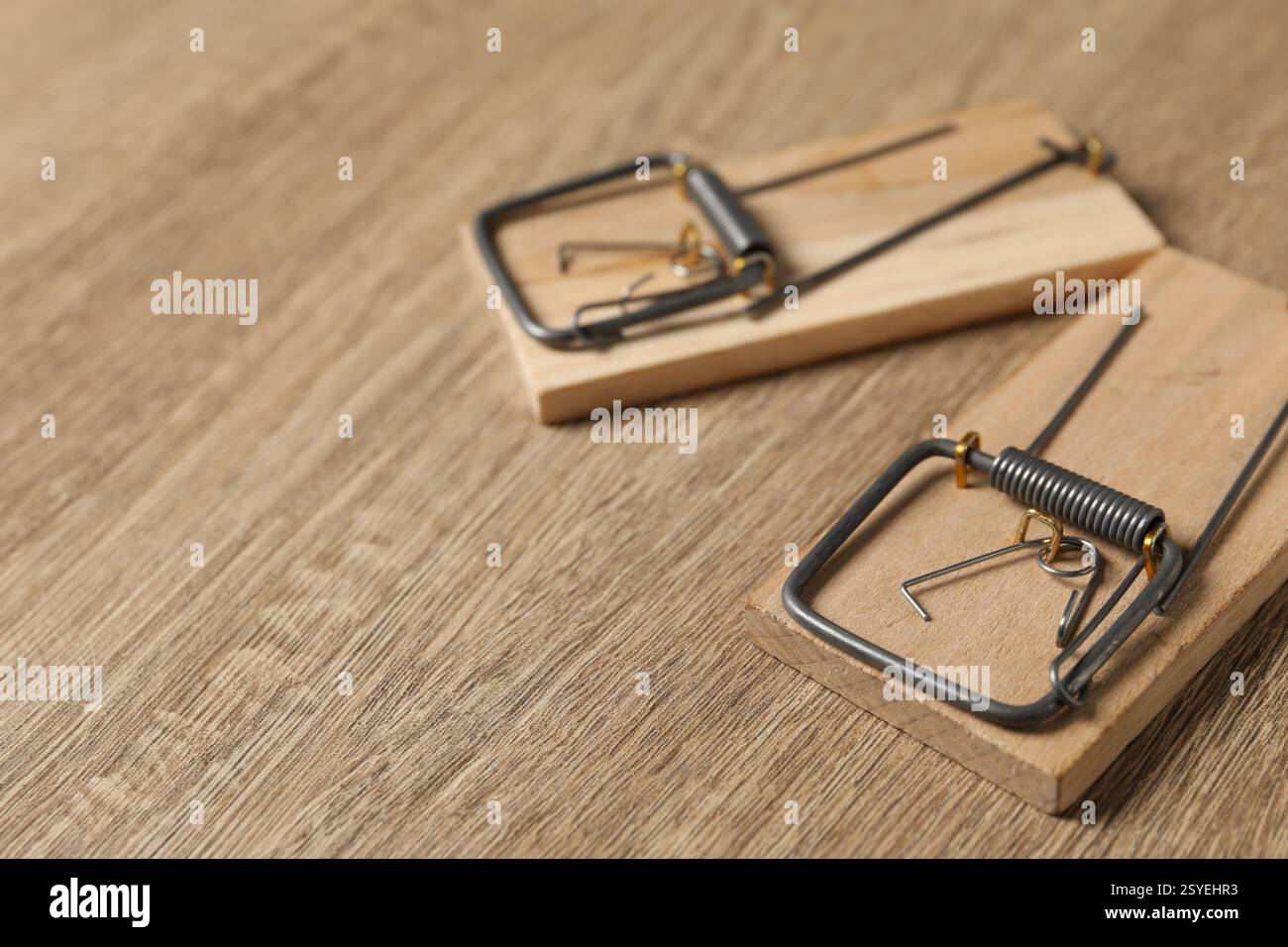 Two spring-loaded bar mousetraps on floor, closeup. Space for text ...