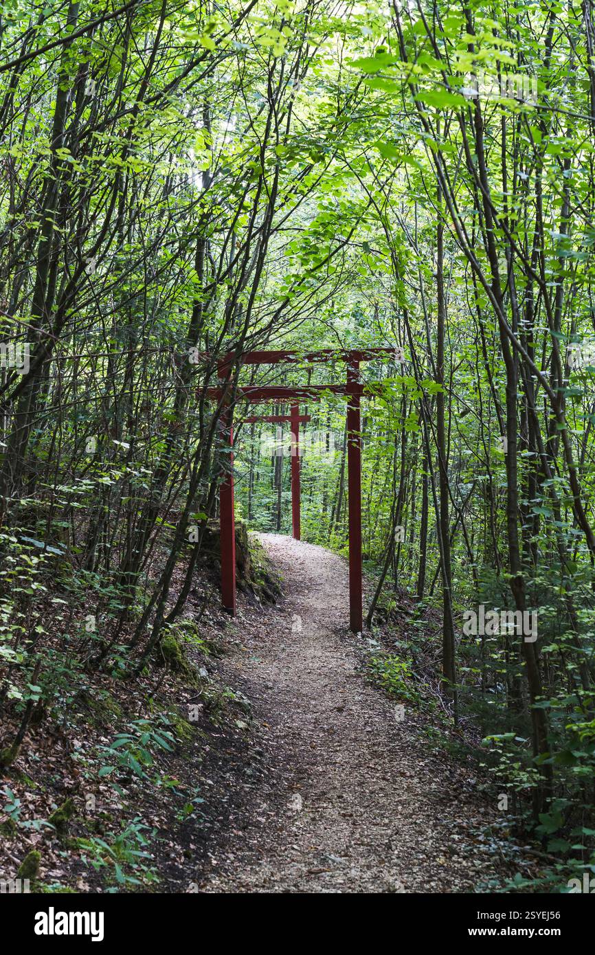 Sunstar over a Castle Ruin – Nature in the Jura Mountains Stock Photo ...