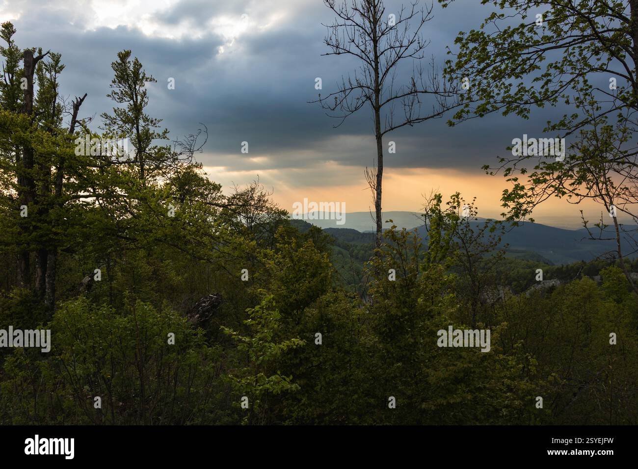 Summer escape to nature hi-res stock photography and images - Alamy