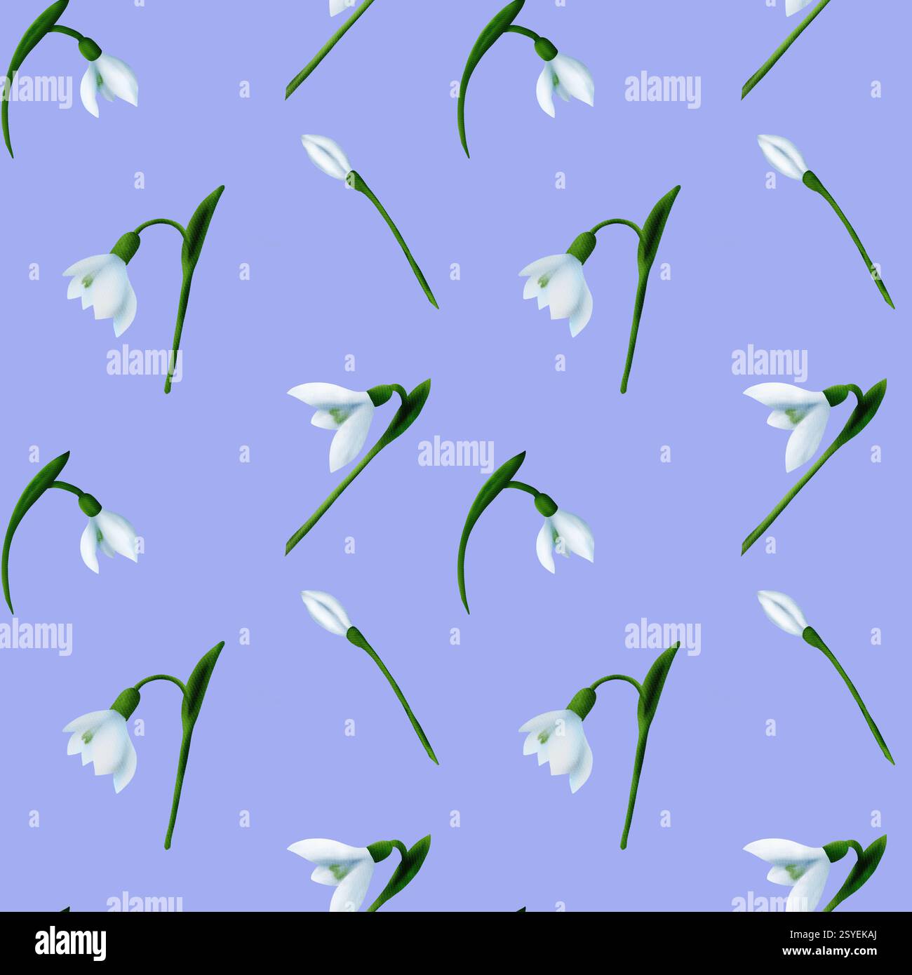 Beautiful cute snowdrops on a violet background, seamless pattern Stock ...