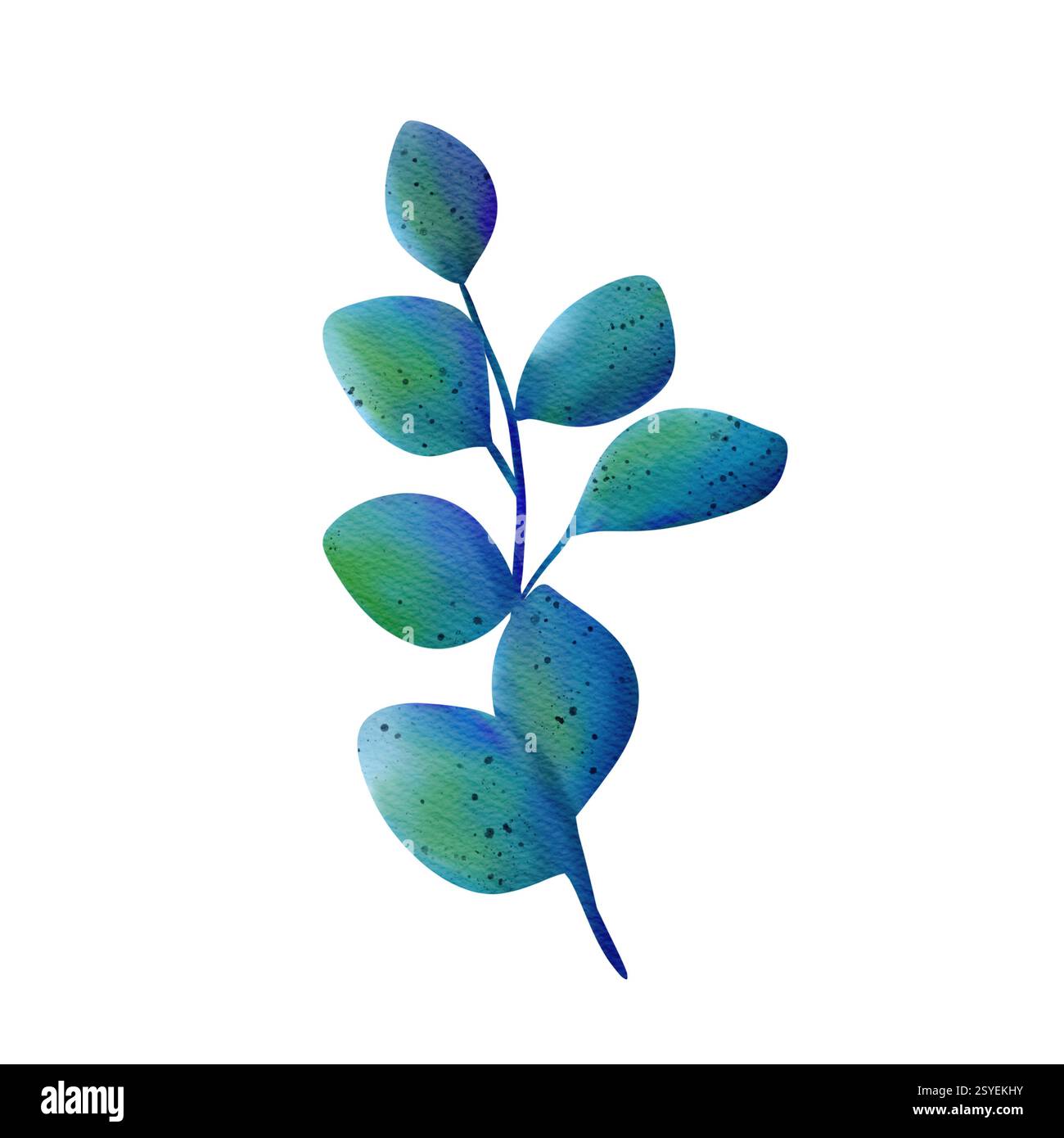 Wonderful spring green and blue branch with leaves.Watercolor digital ...