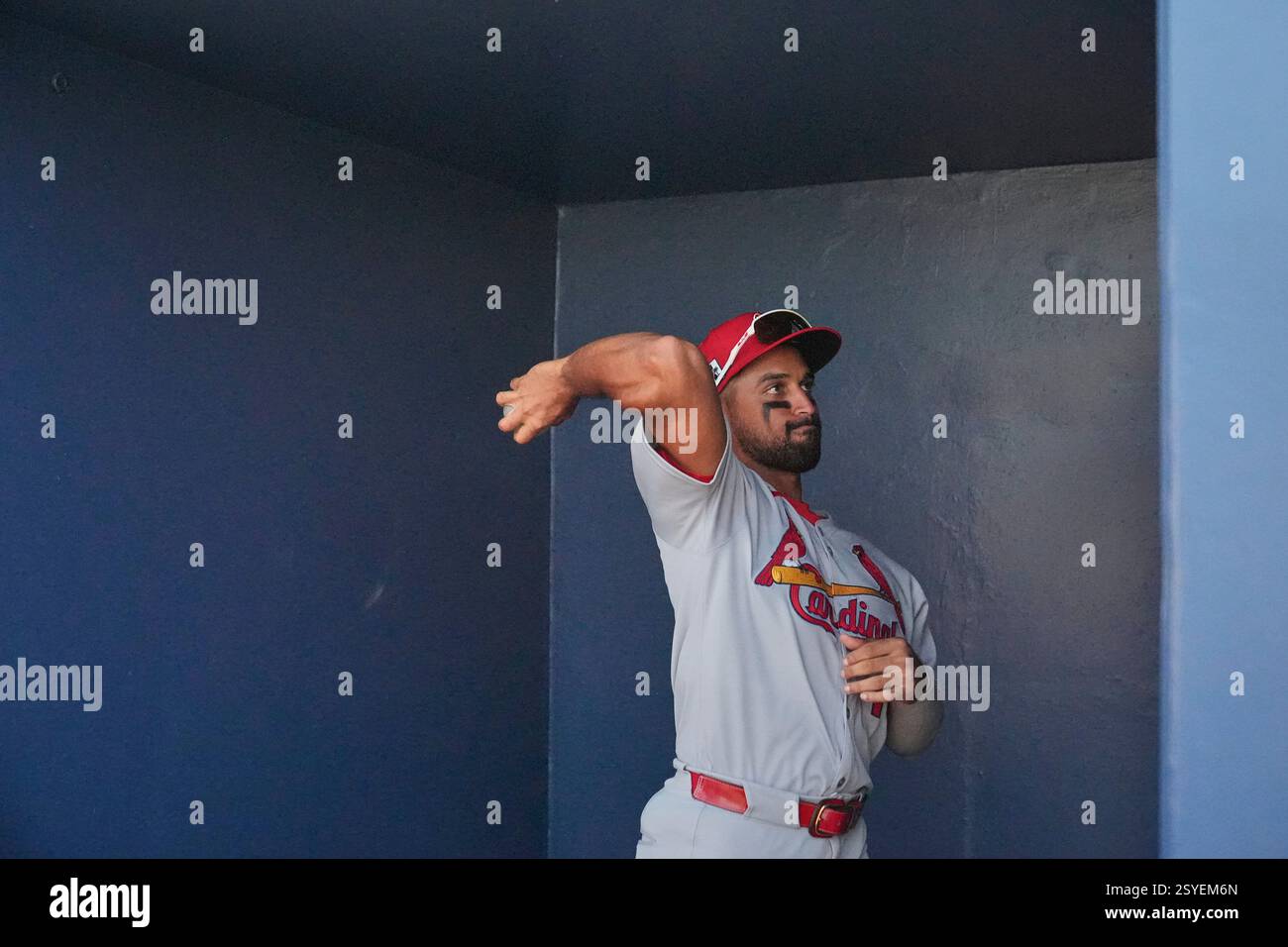 St. Louis Cardinals' Jose Fermin throws a ball against a wall in the ...