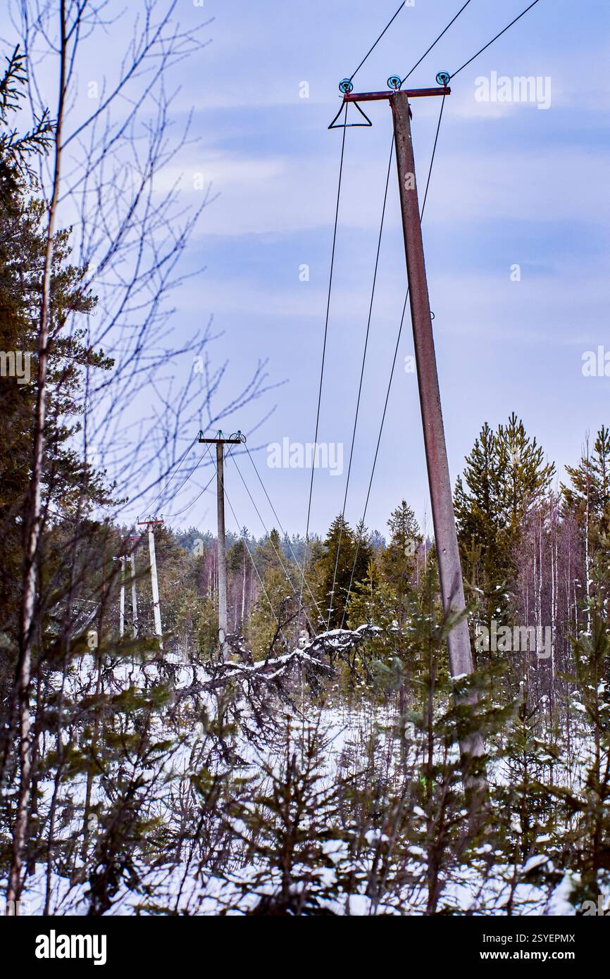 Downed tree stretches conductors from power transmission tower creating ...