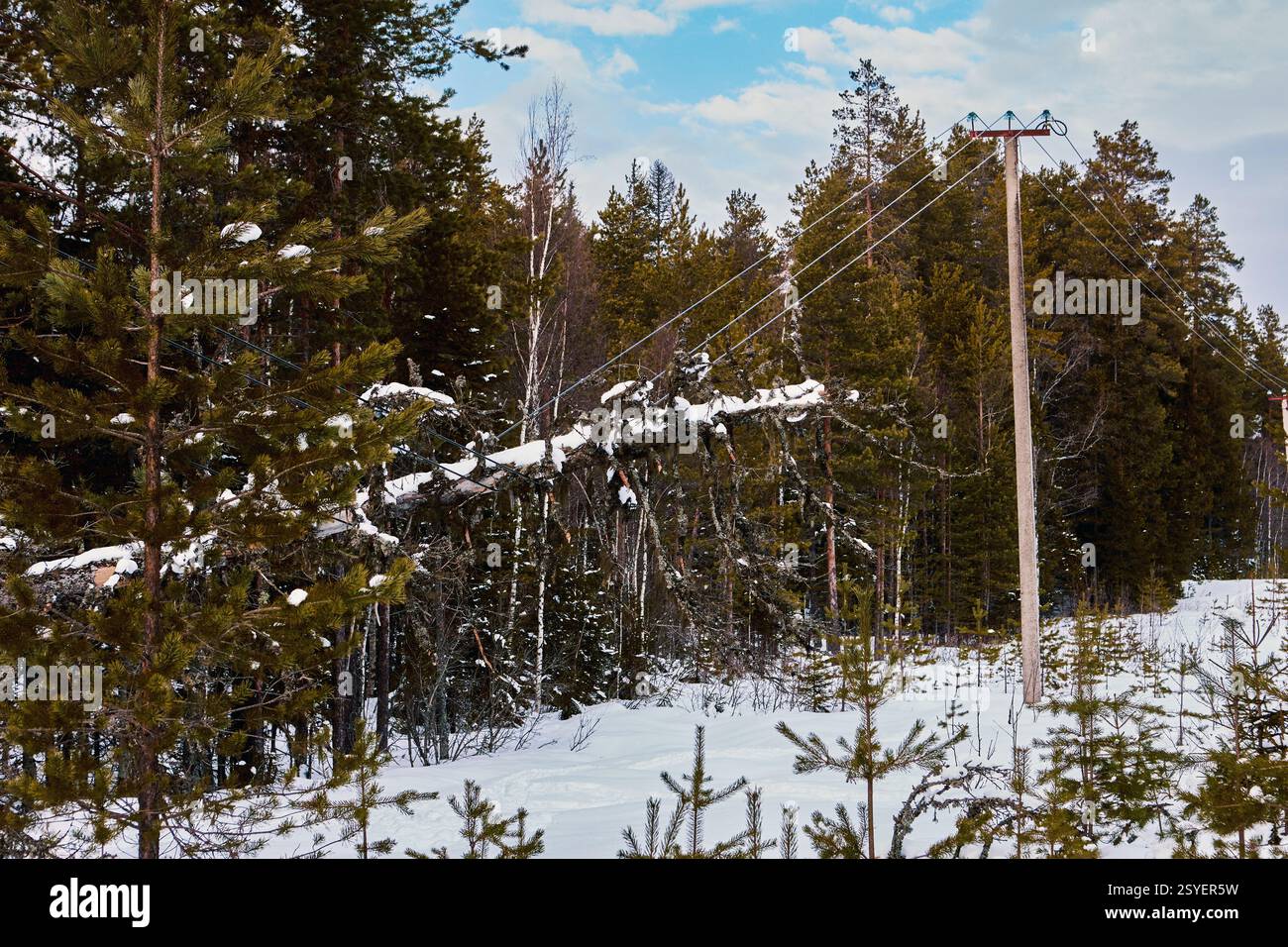 Compromised high voltage electrical system due to fallen tree presents ...