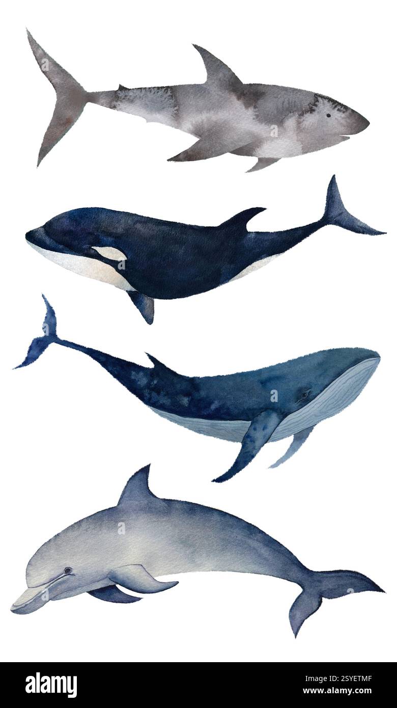 Sea life emblem hi-res stock photography and images - Alamy