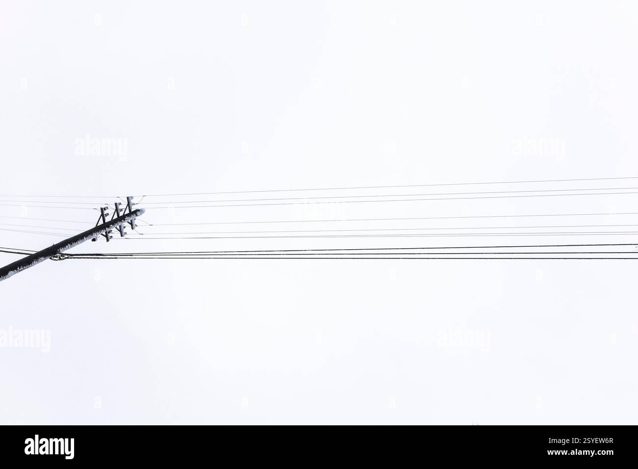 High-voltage power line timber prop with many wires, vertical view ...