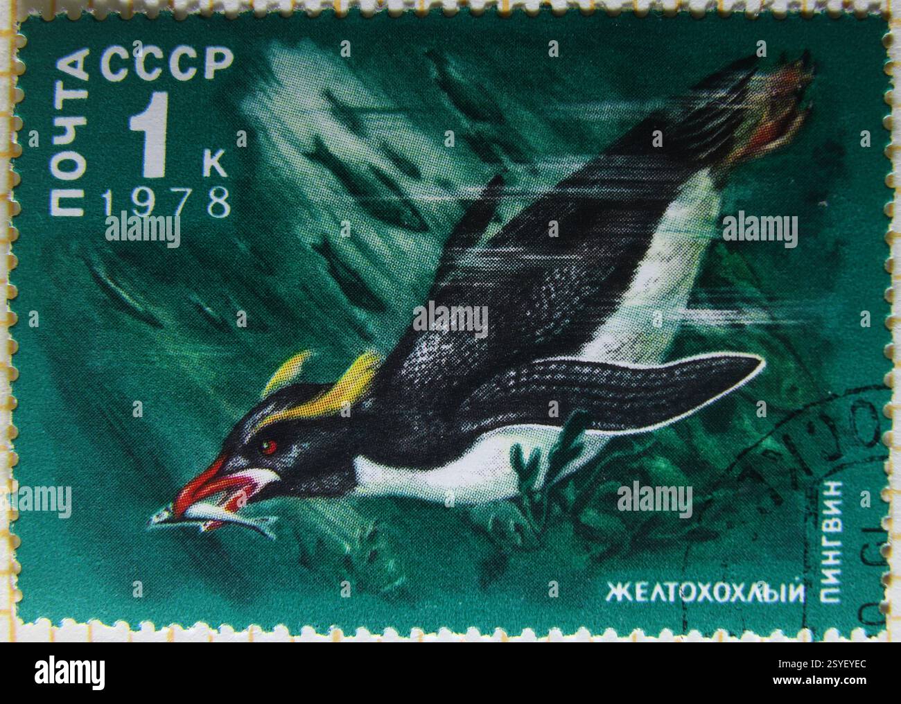 ISTANBUL, TURKEY - JANUARY 03, 2021: Soviet Union stamp shows Antarctic ...