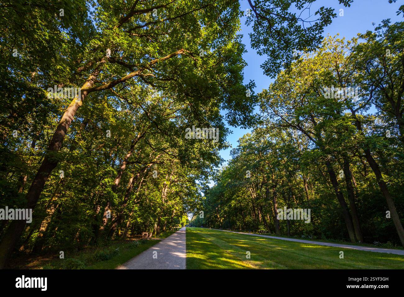 A pathway stretching into the distance, bisecting a lush green park ...
