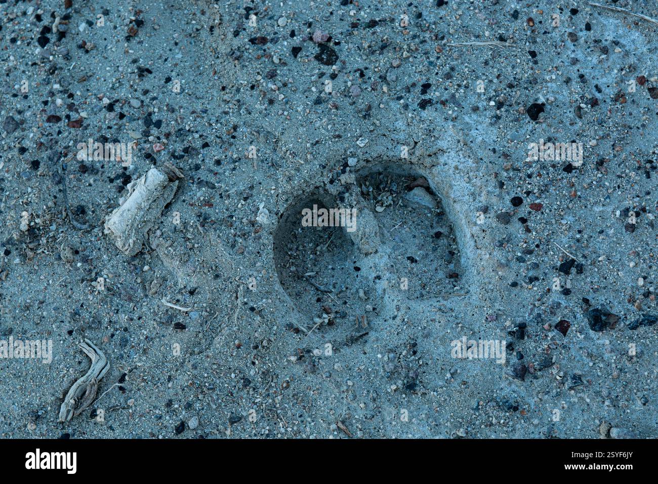 Soft mud hi-res stock photography and images - Alamy