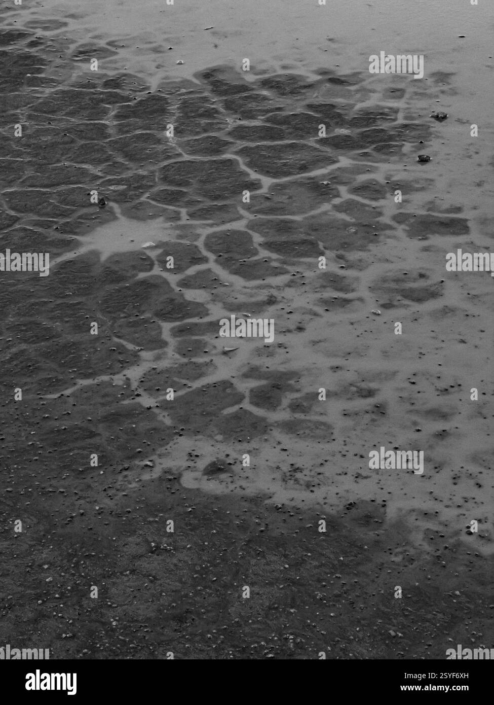 Unique valley Black and White Stock Photos & Images - Alamy