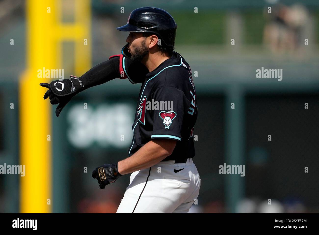 Arizona Diamondbacks' Adrian Del Castillo motions to his dugout after ...