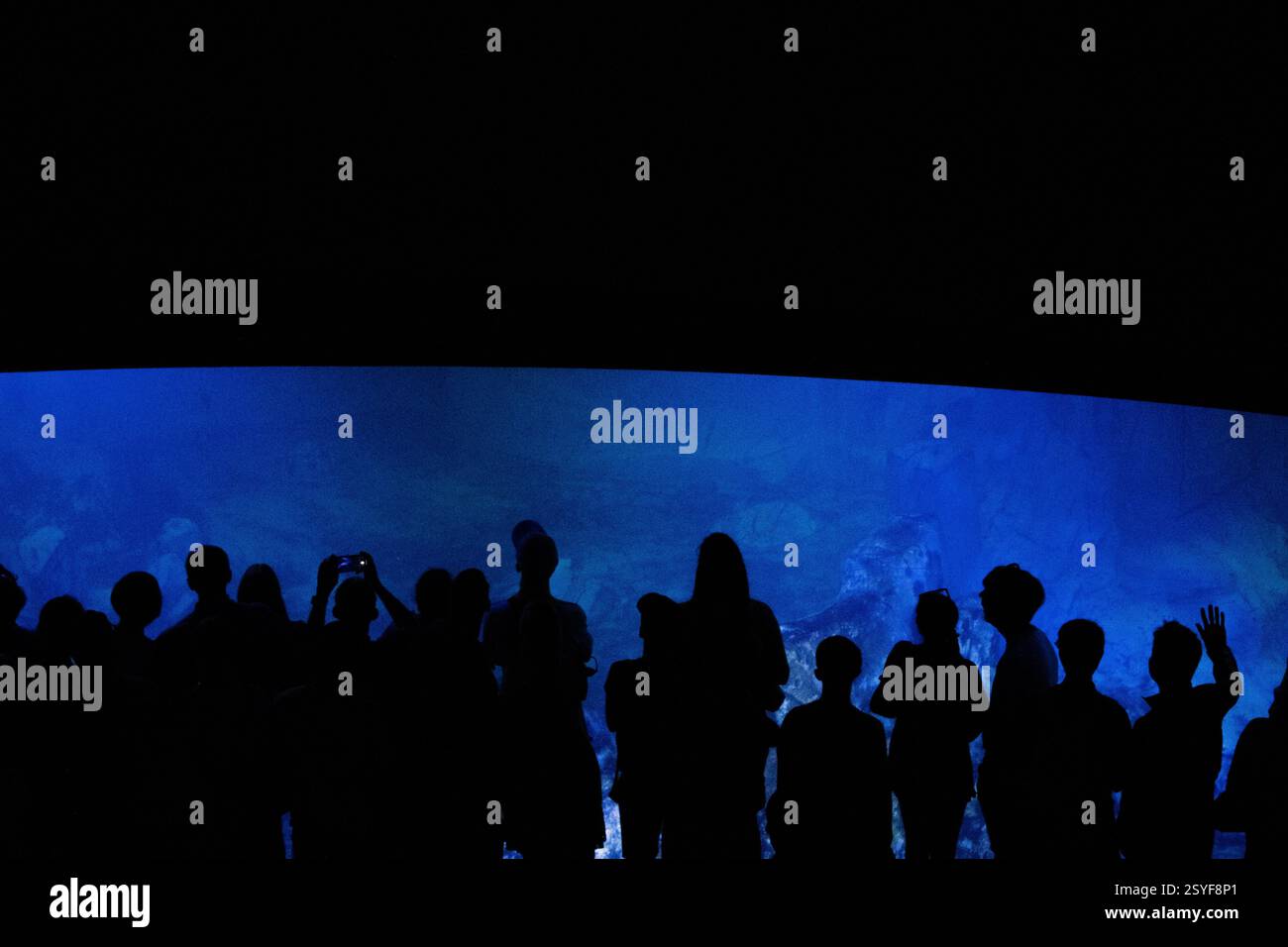 Silhouette people observing marine life hi-res stock photography and ...