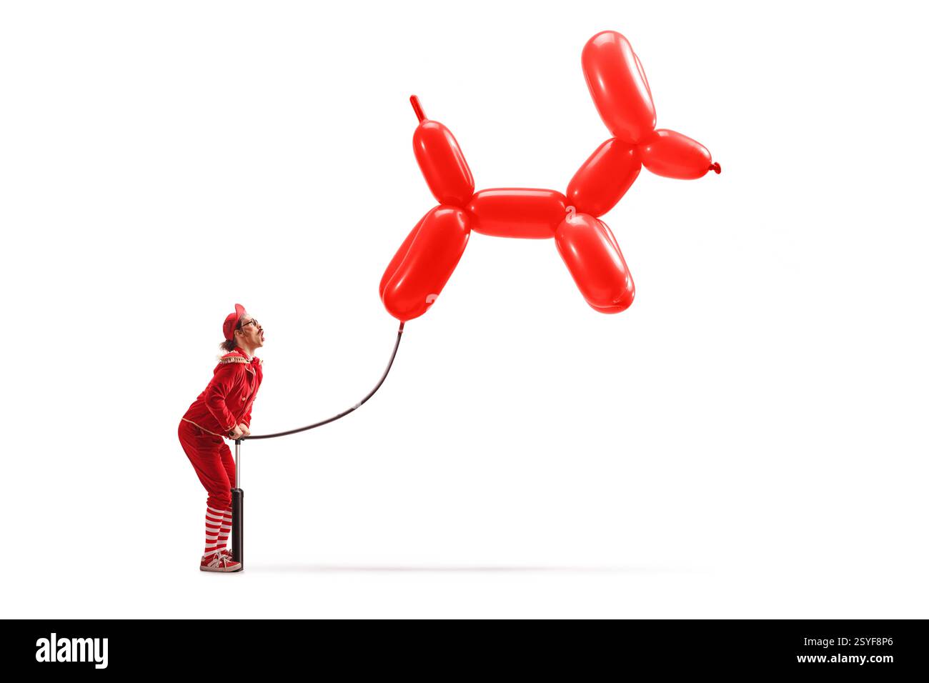 Entertainer pumping a red balloon in a dog shape isolated on white ...