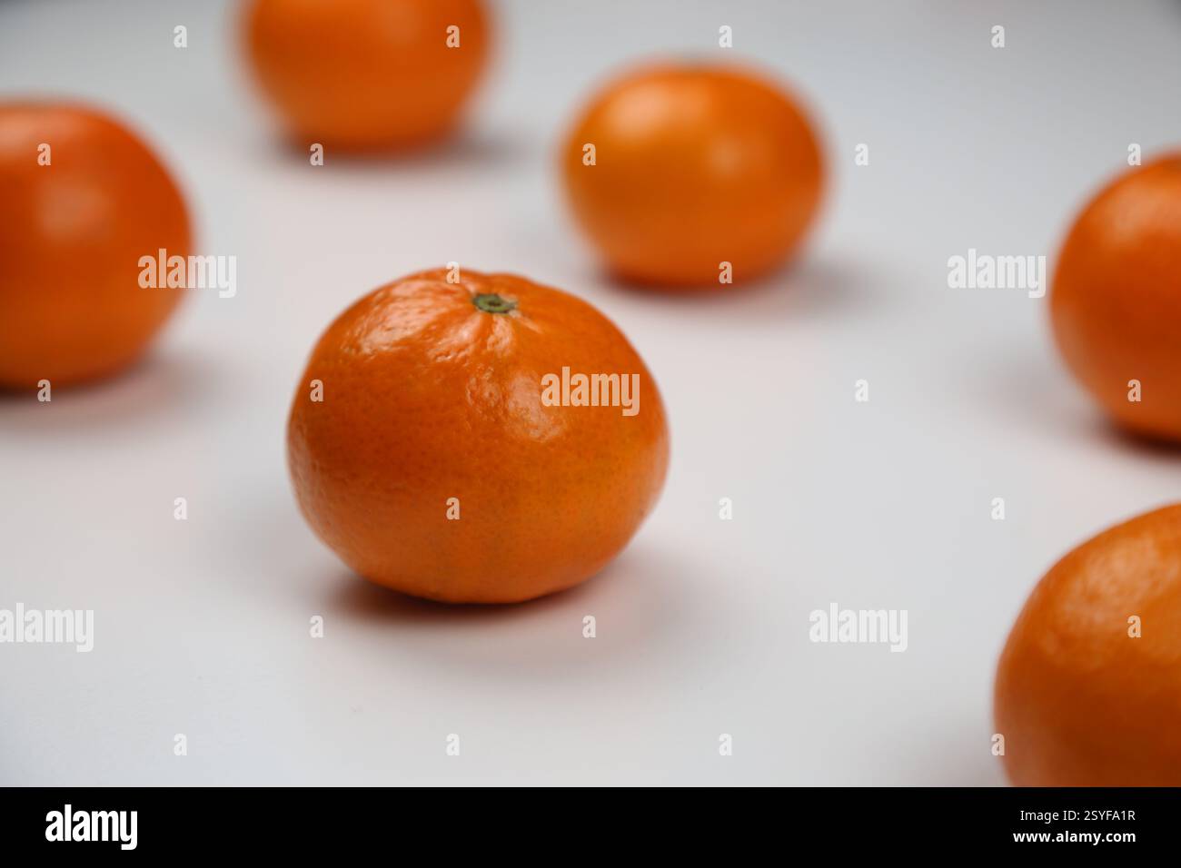 Croissance de fond blanc hi-res stock photography and images - Alamy