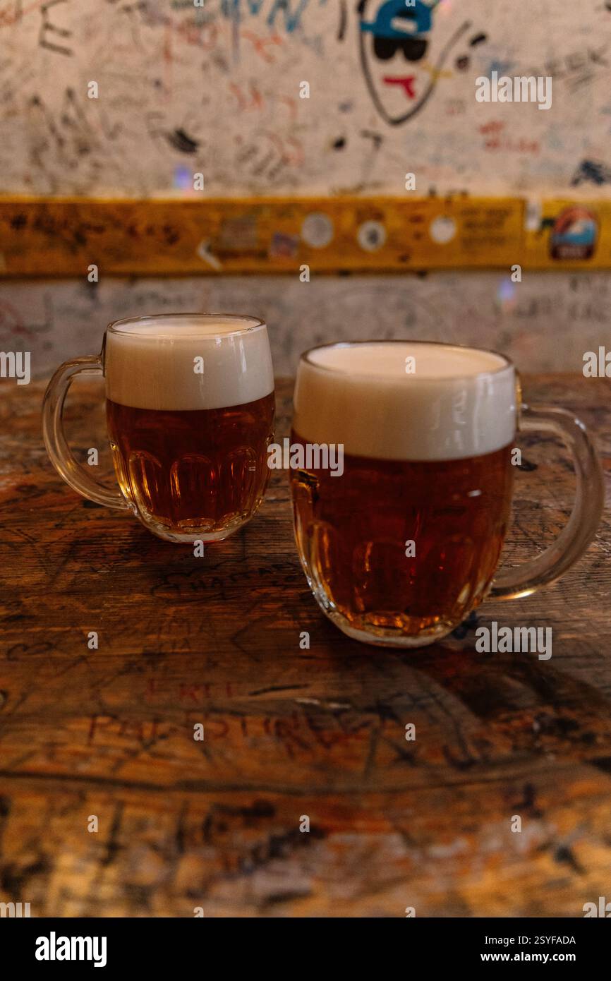 02-17-2025, Budapest. vertical Two foamy mugs of beer sit on a ...