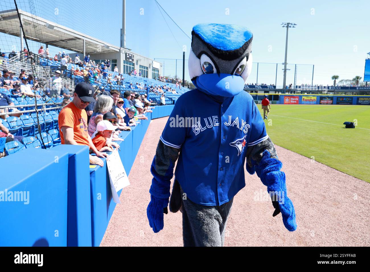 DUNEDIN, FL - FEBRUARY 28: Toronto Blue Jays mascot walks the field ...