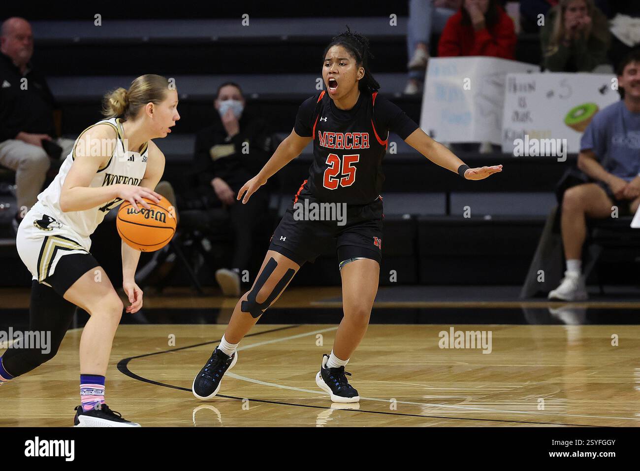 SPARTANBURG, SC - FEBRUARY 22: Mercer Bears guard Talia Harris (25 ...