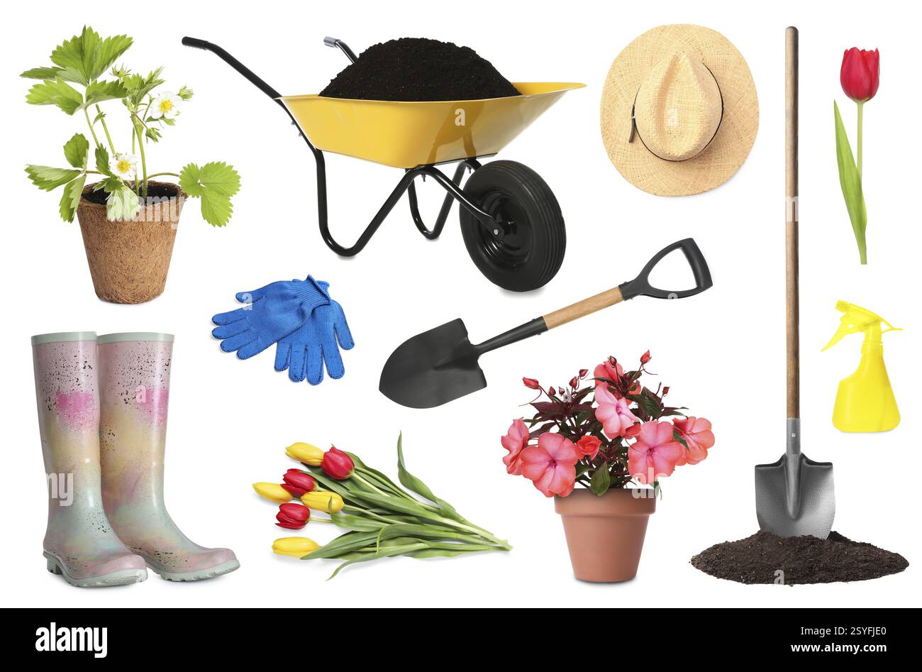 Set of different gardening tools and plants isolated on white Stock ...