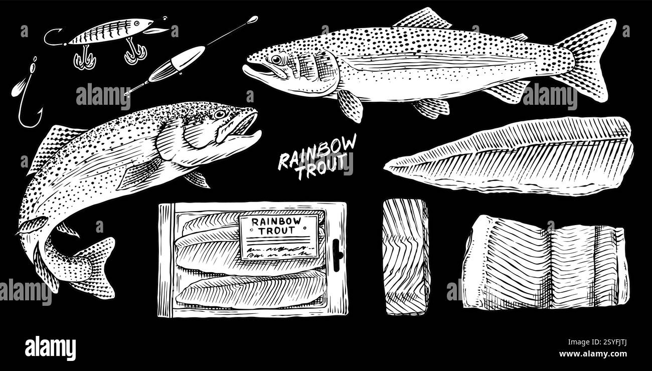 Rainbow trout collection with fish package and chunk of meat.River fishing elements and filet ...