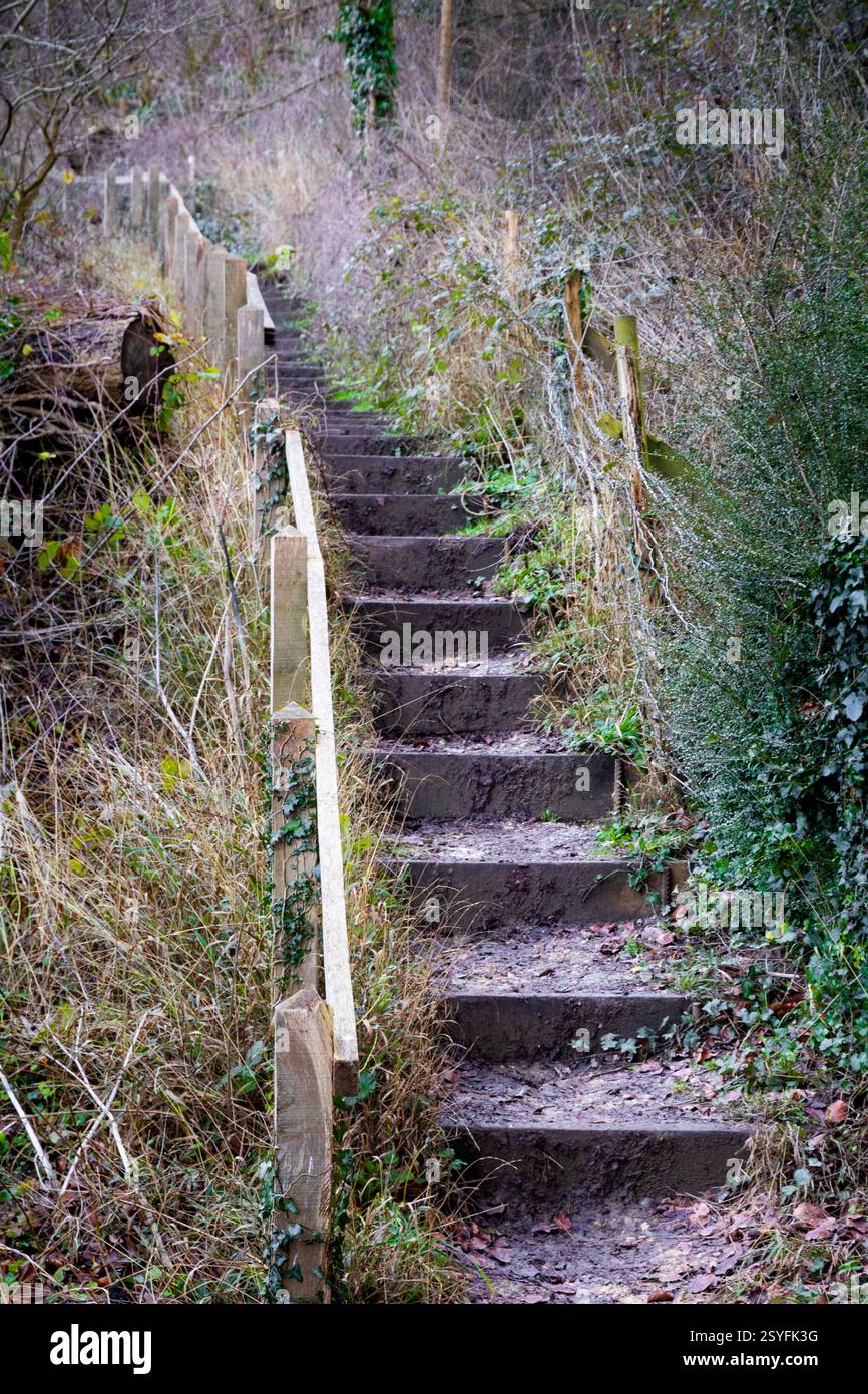 Steps on countryside footpath Stock Photo - Alamy