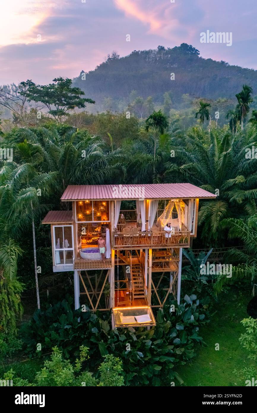 A beautiful treehouse stands surrounded by vibrant foliage in jungle ...