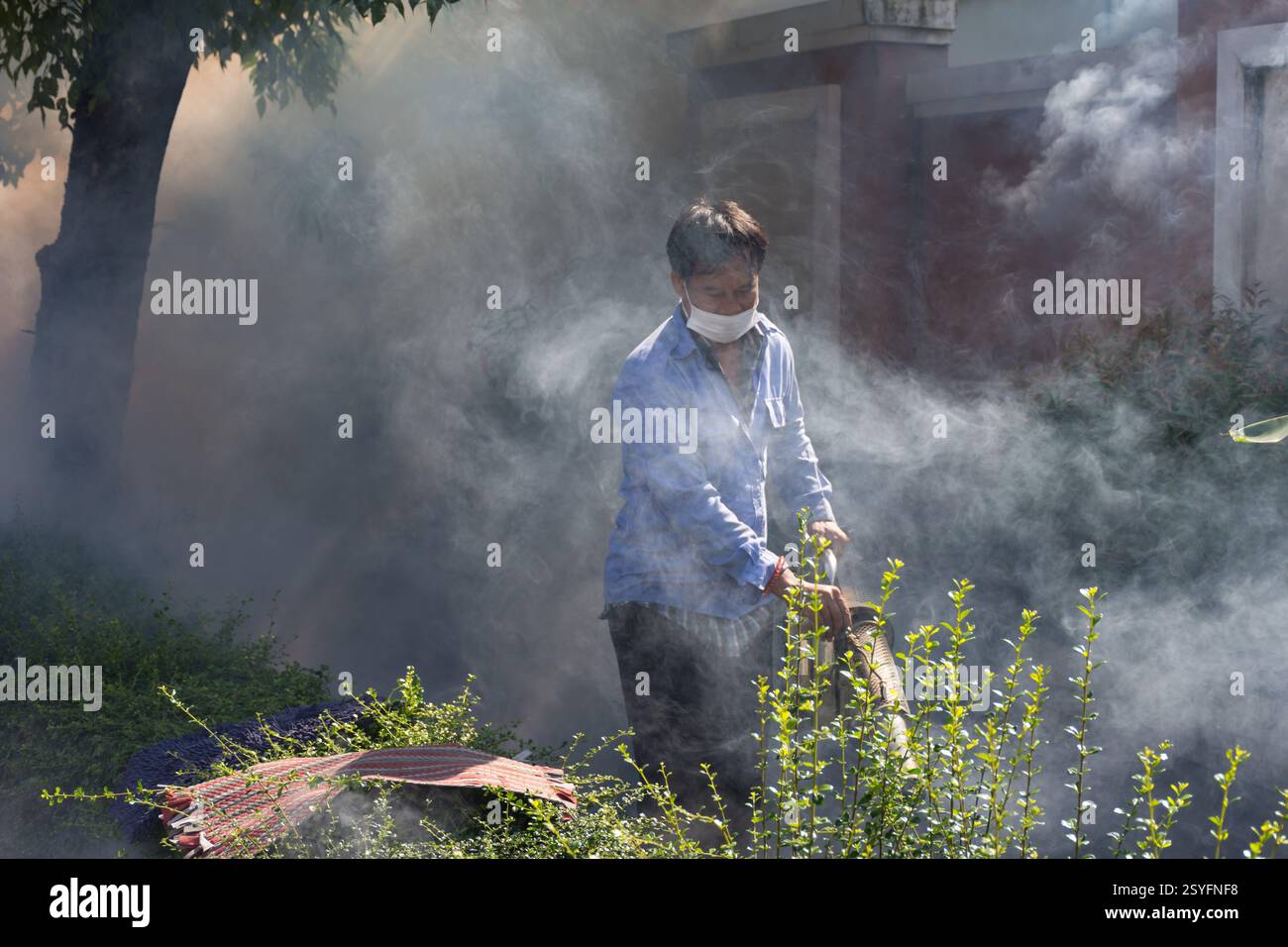 People fogging DDT spray kill mosquito for control Malaria ...