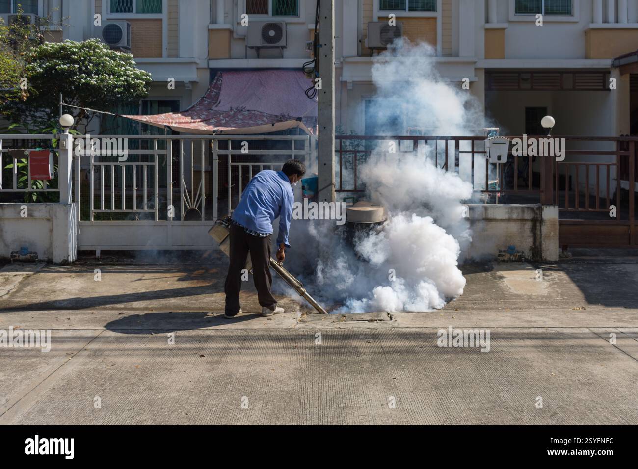 People fogging DDT spray kill mosquito for control Malaria ...