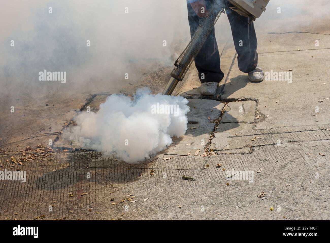 People fogging DDT spray kill mosquito for control Malaria ...