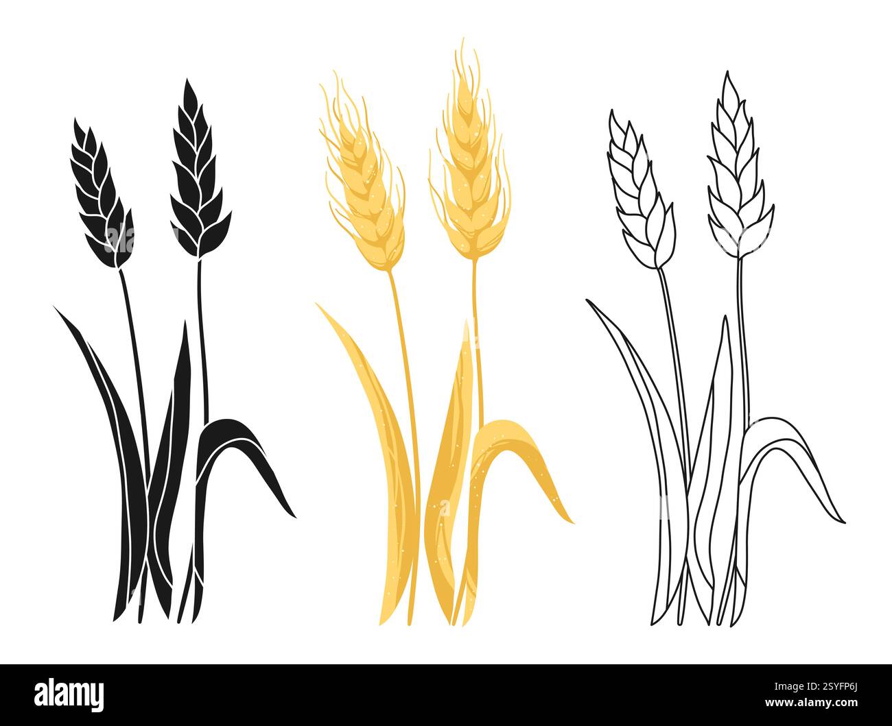 Wheat ear hand drawn set. Grain sign doodle line, silhouette, cartoon ...
