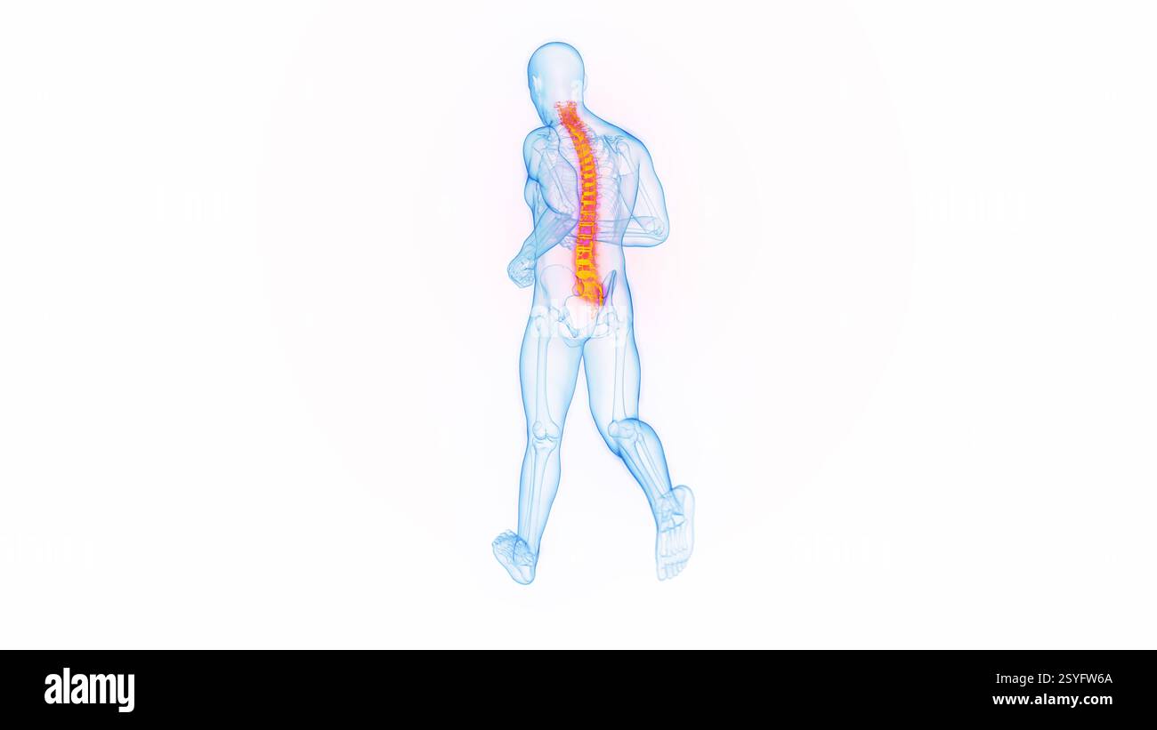 Fitness back pain sport Cut Out Stock Images & Pictures - Alamy