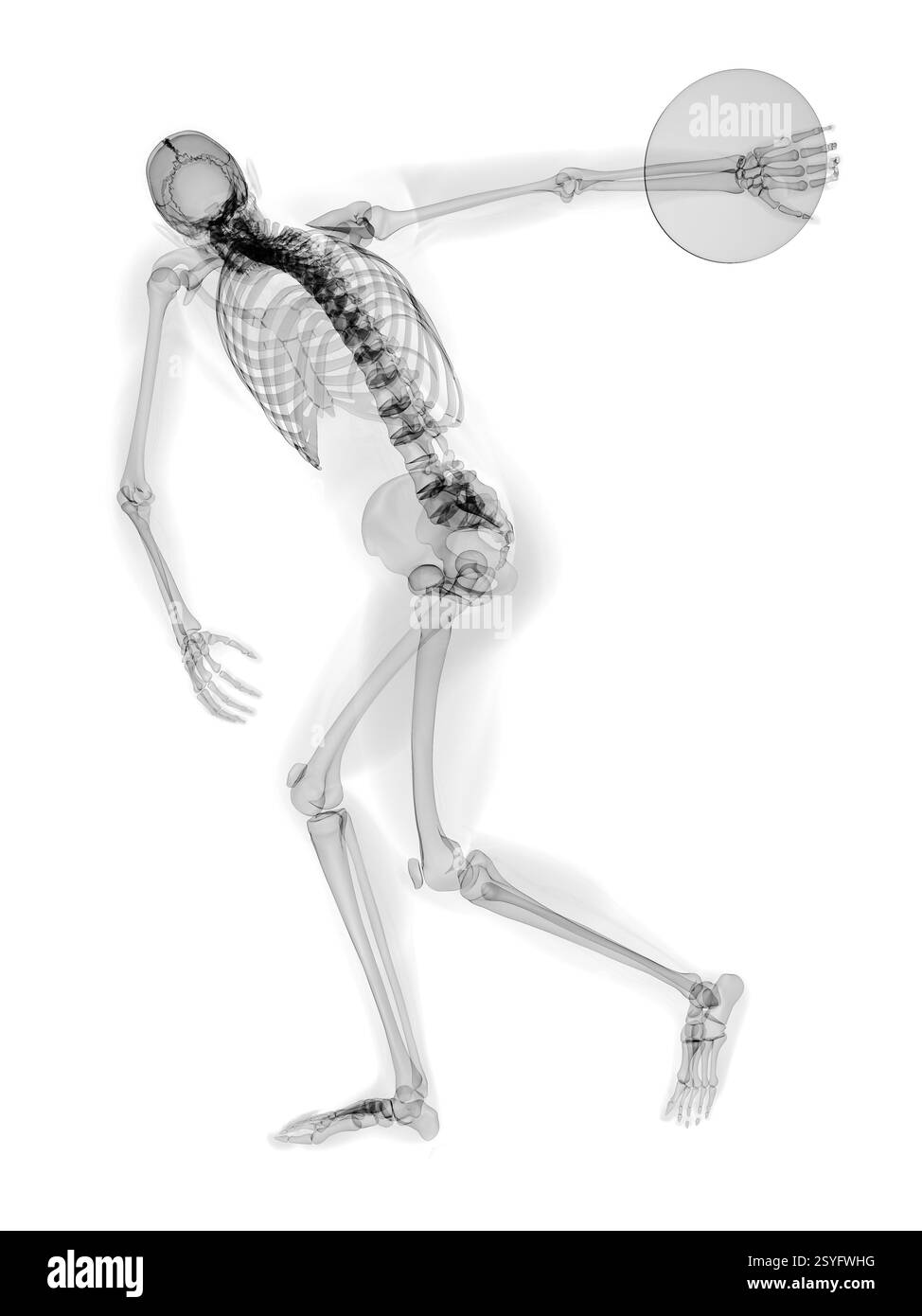 Discus thrower, illustration Stock Photo - Alamy