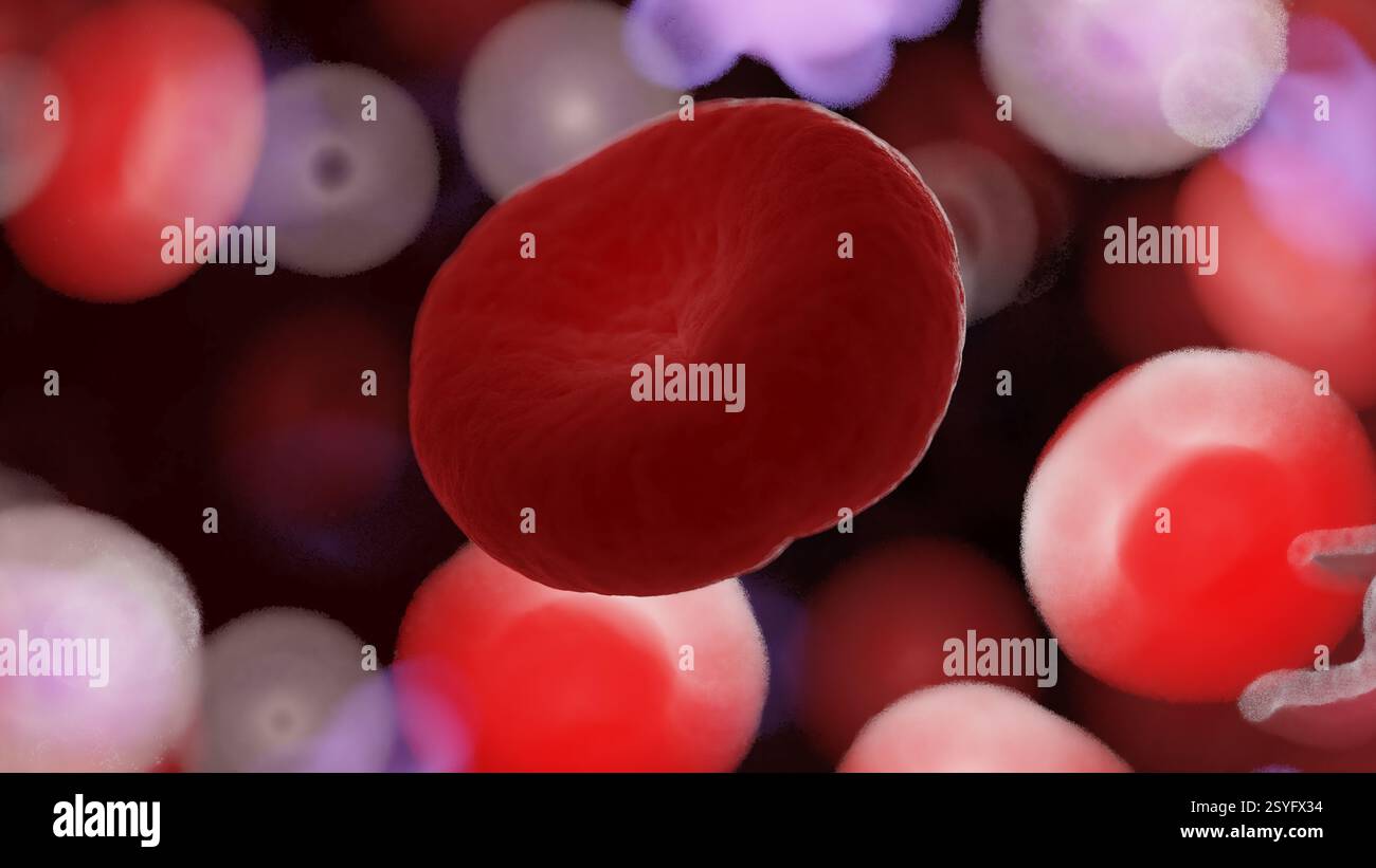 Circulating blood cells, illustration Stock Photo - Alamy