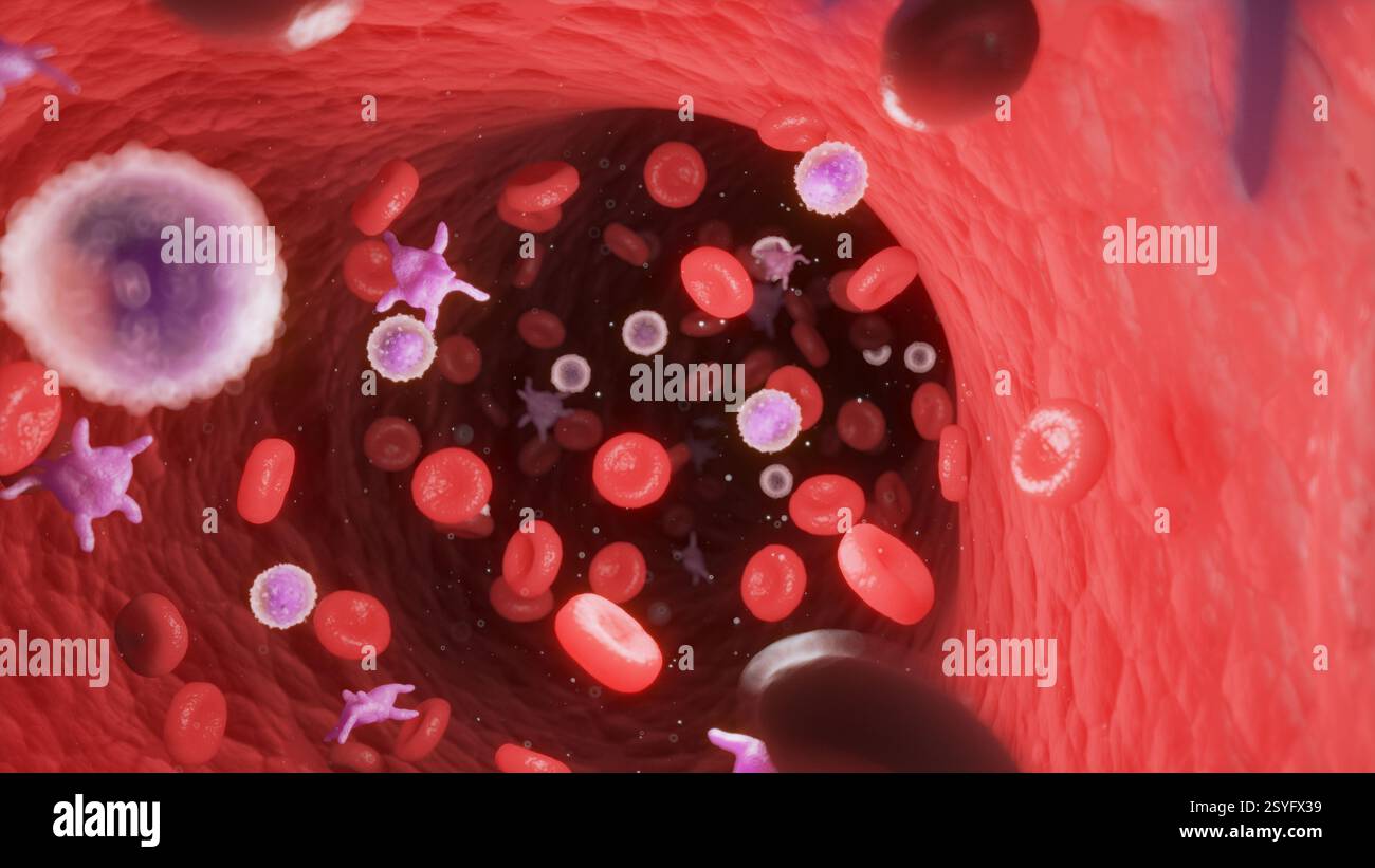 Circulating blood cells, illustration Stock Photo - Alamy