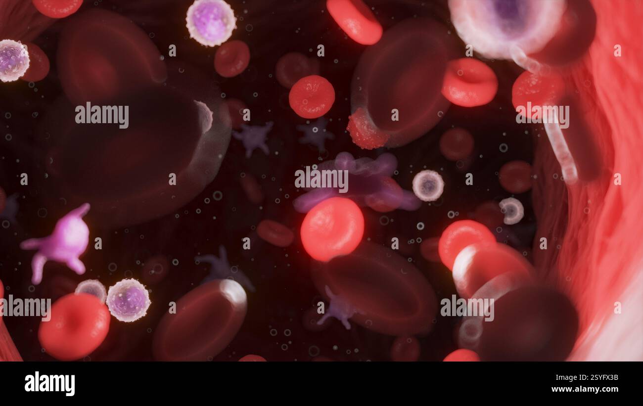 Circulating blood cells, illustration Stock Photo - Alamy