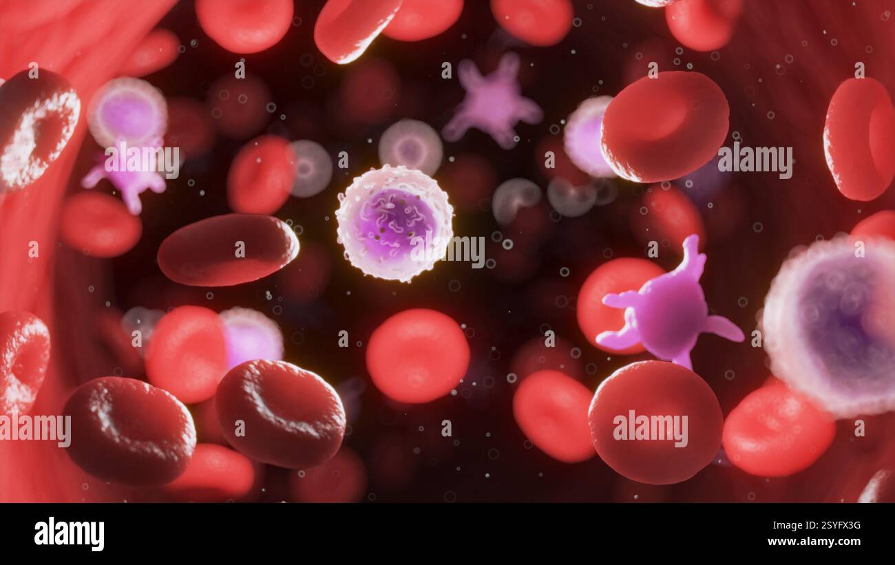 Circulating blood cells, illustration Stock Photo - Alamy