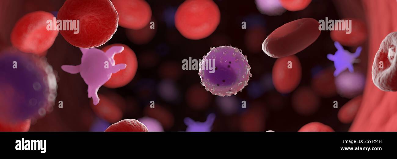 Circulating blood cells, illustration Stock Photo - Alamy